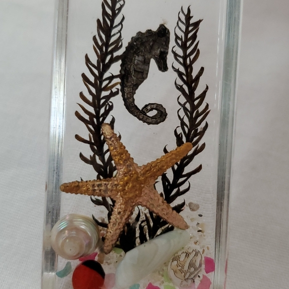 Unbranded | Office | Letter Opener Seahorse Starfish Shell Seaweed ...